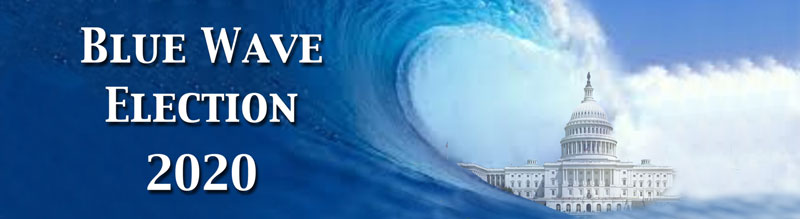 What Thoreau Knew - Walden and the Meaning of Voluntary Simplicity